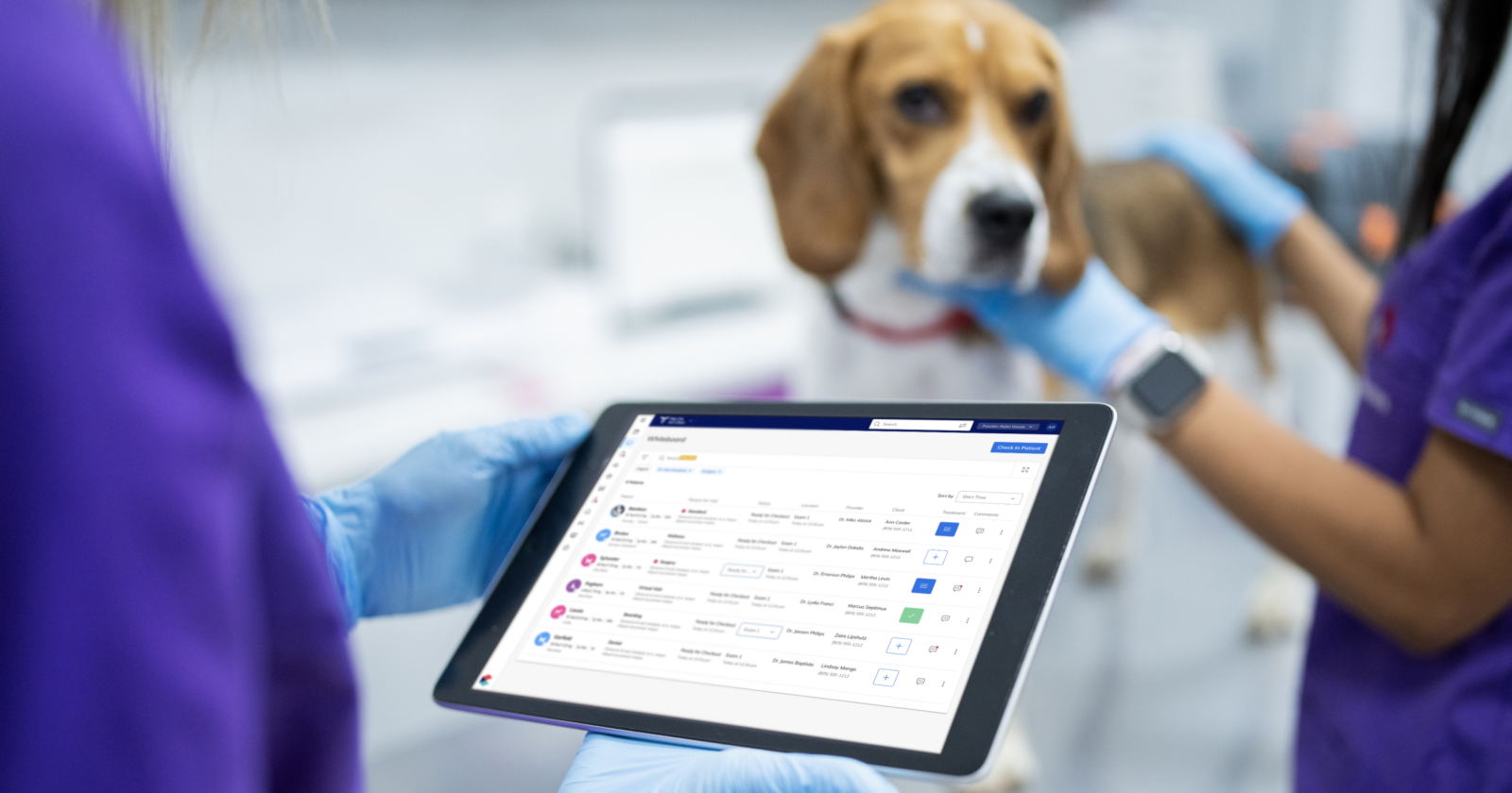 Veterinary Practice Management Software | Covetrus