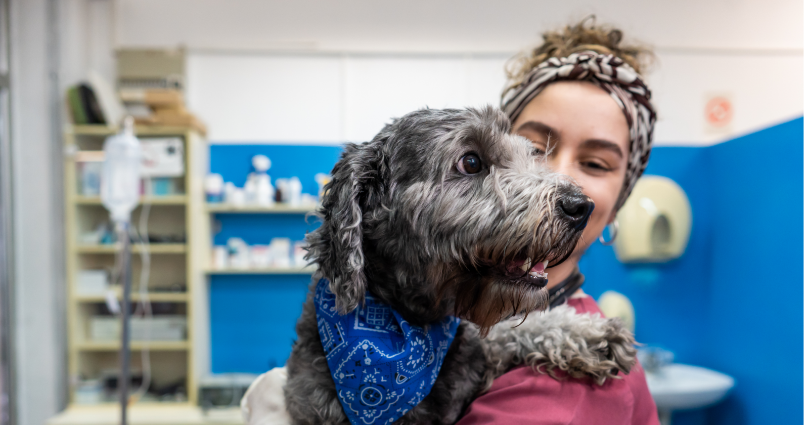Starting a Veterinary Practice | Covetrus