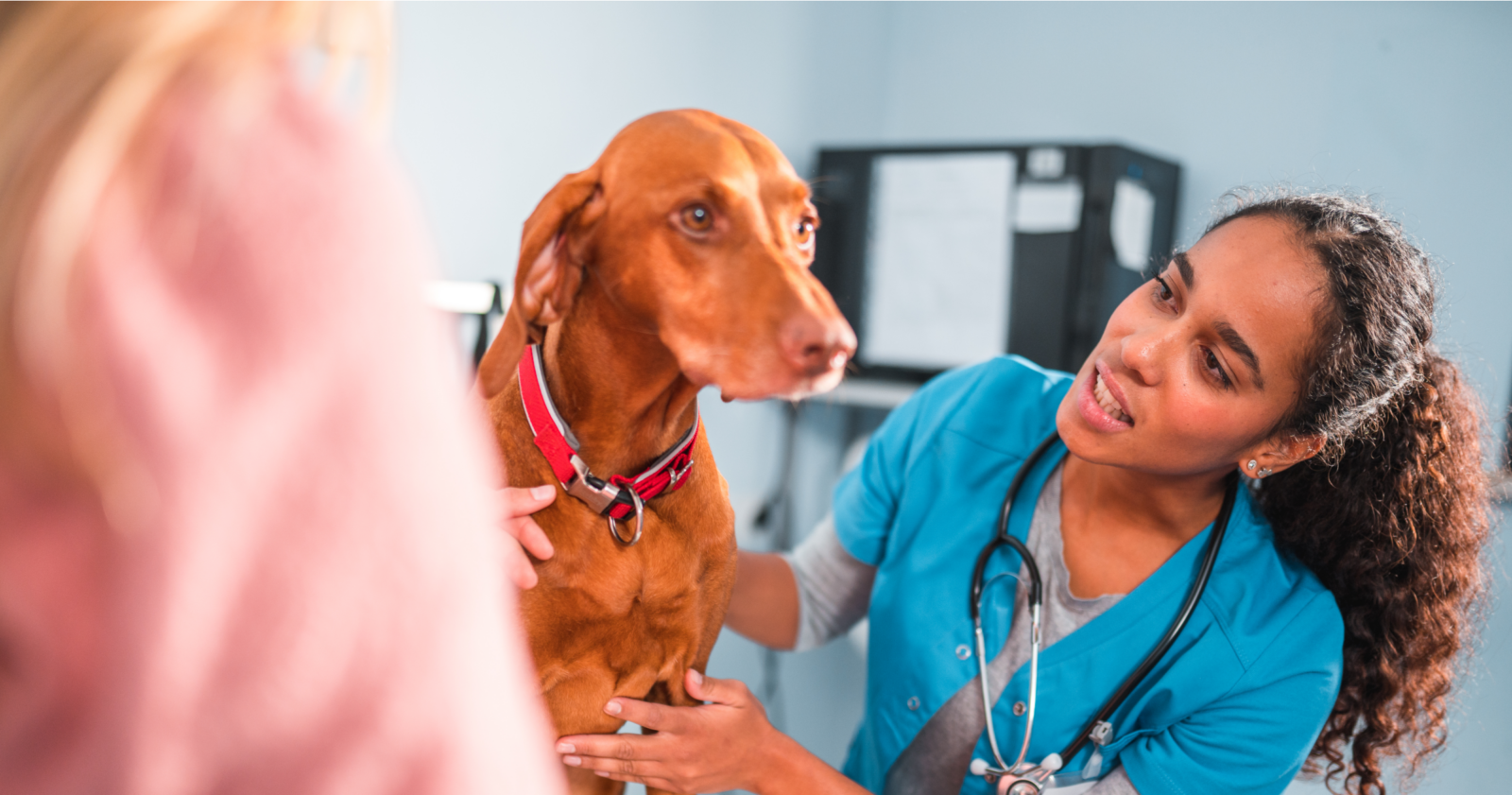 Veterinary Products and Supplies | Covetrus
