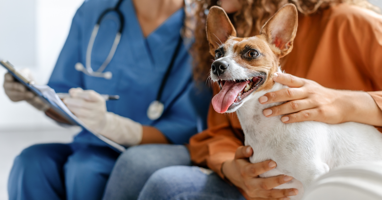 Compounding Medication Dosage Forms | Covetrus