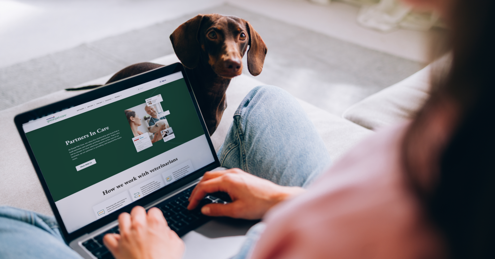 Software Customer Support | Covetrus